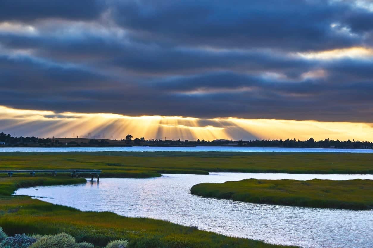 House Passes $125 million for San Francisco Bay - Save The Bay