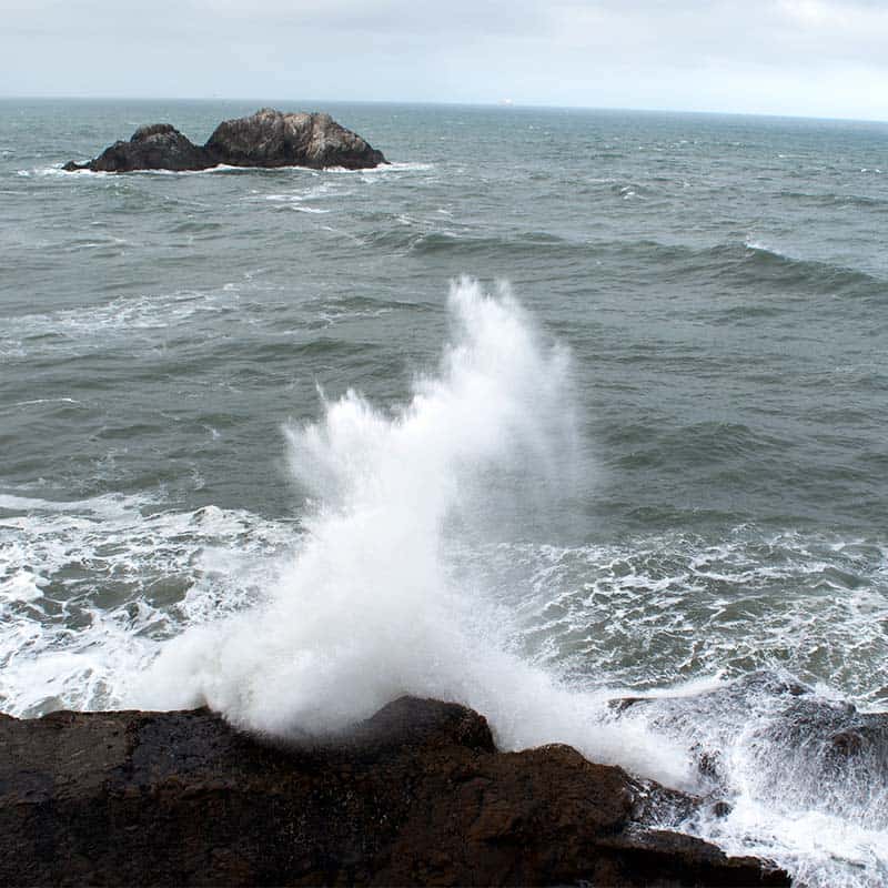 Life of a Raindrop - Save The Bay