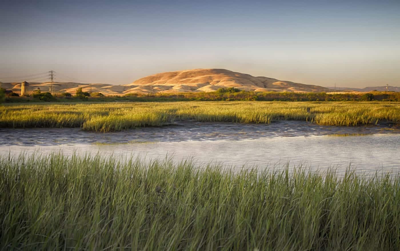 A vision of Bay Smart Communities for a Sustainable Future - Save The Bay