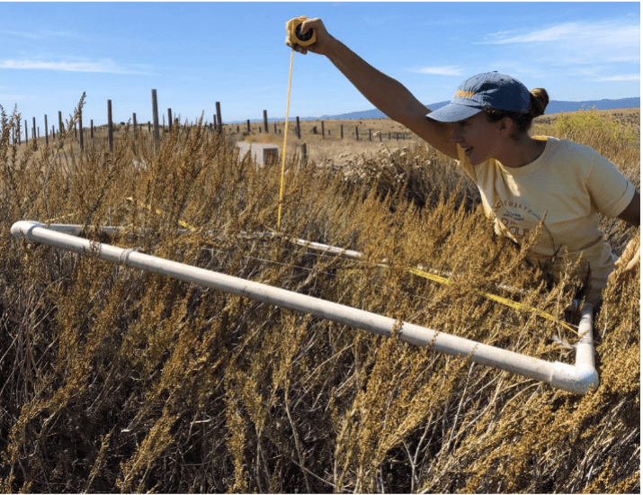 Vegetation Monitoring