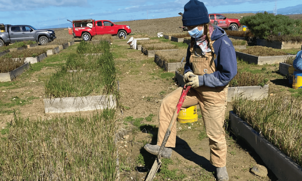 Volunteer - Save The Bay