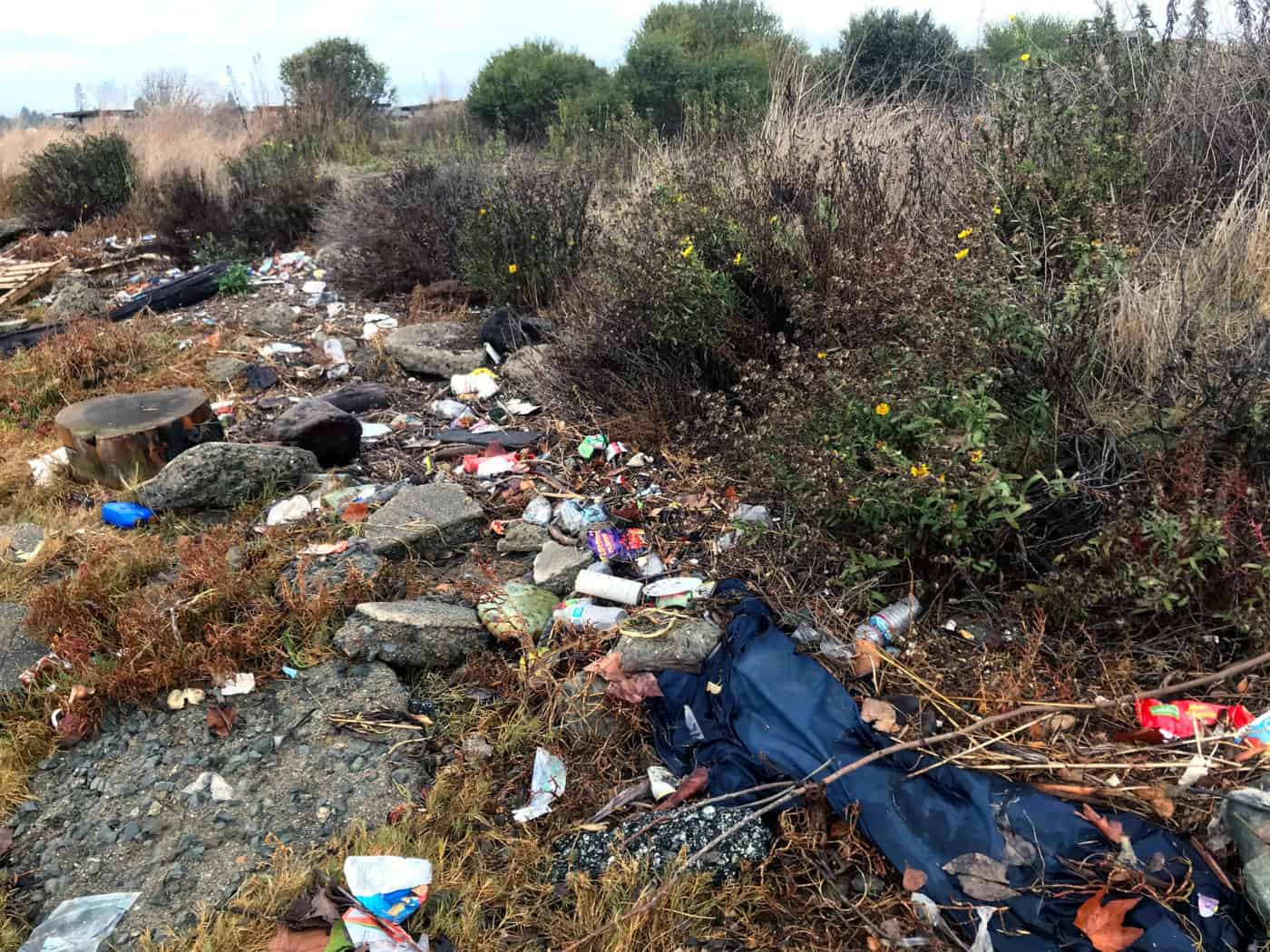 A Decade Later, Why is the Bay Still Being Trashed? - Save The Bay