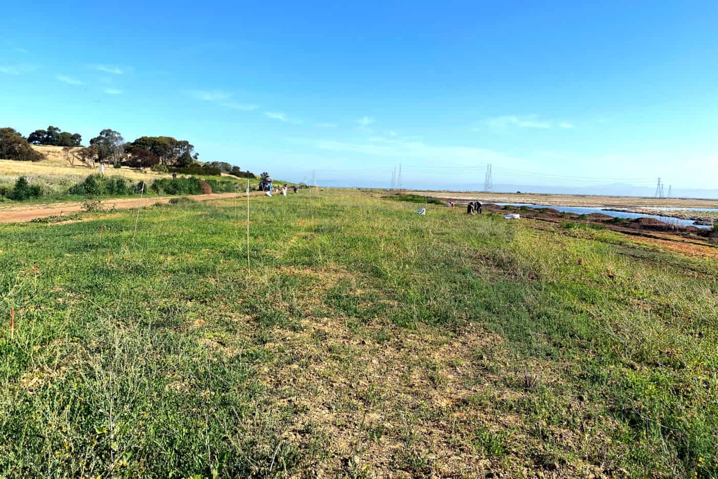 Ask An Expert: What is a Horizontal Levee? - Save The Bay