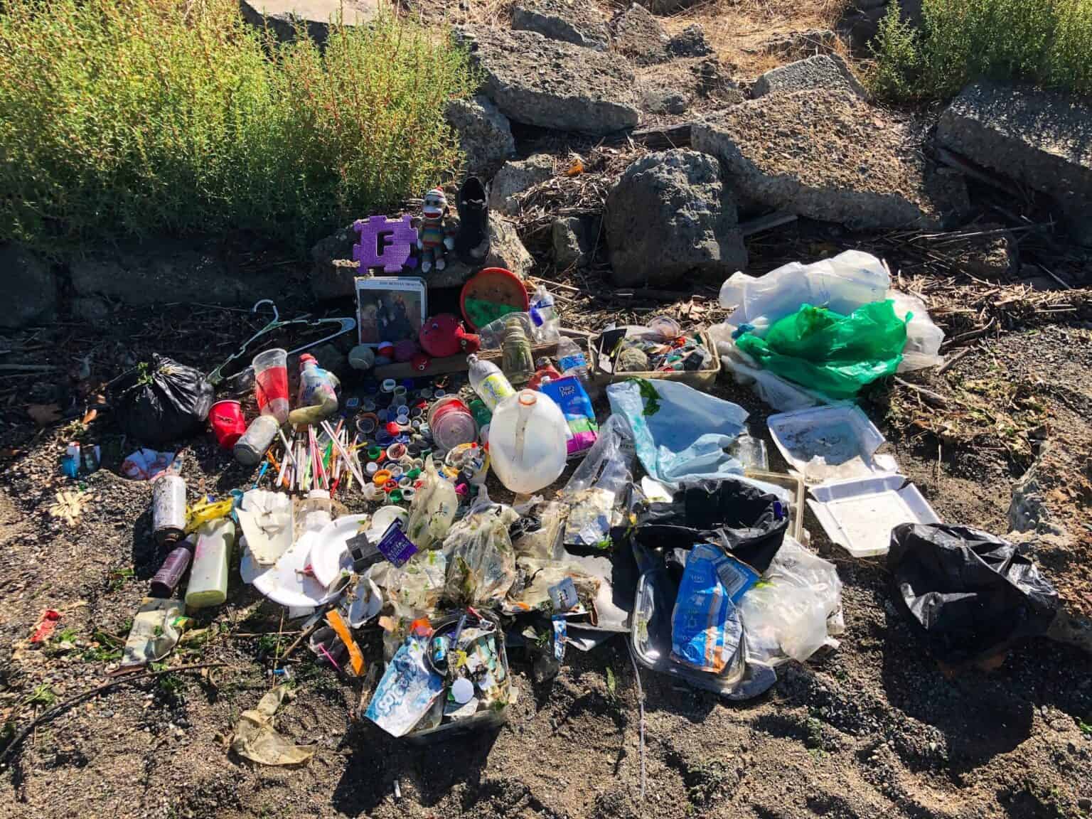 Plastic Free July: Keeping the Shoreline Clean - Save The Bay