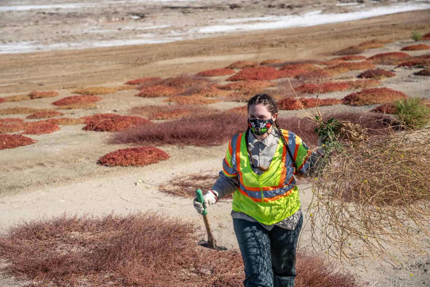 Introducing: All-American Canal Wetland Restoration Project - Save The Bay