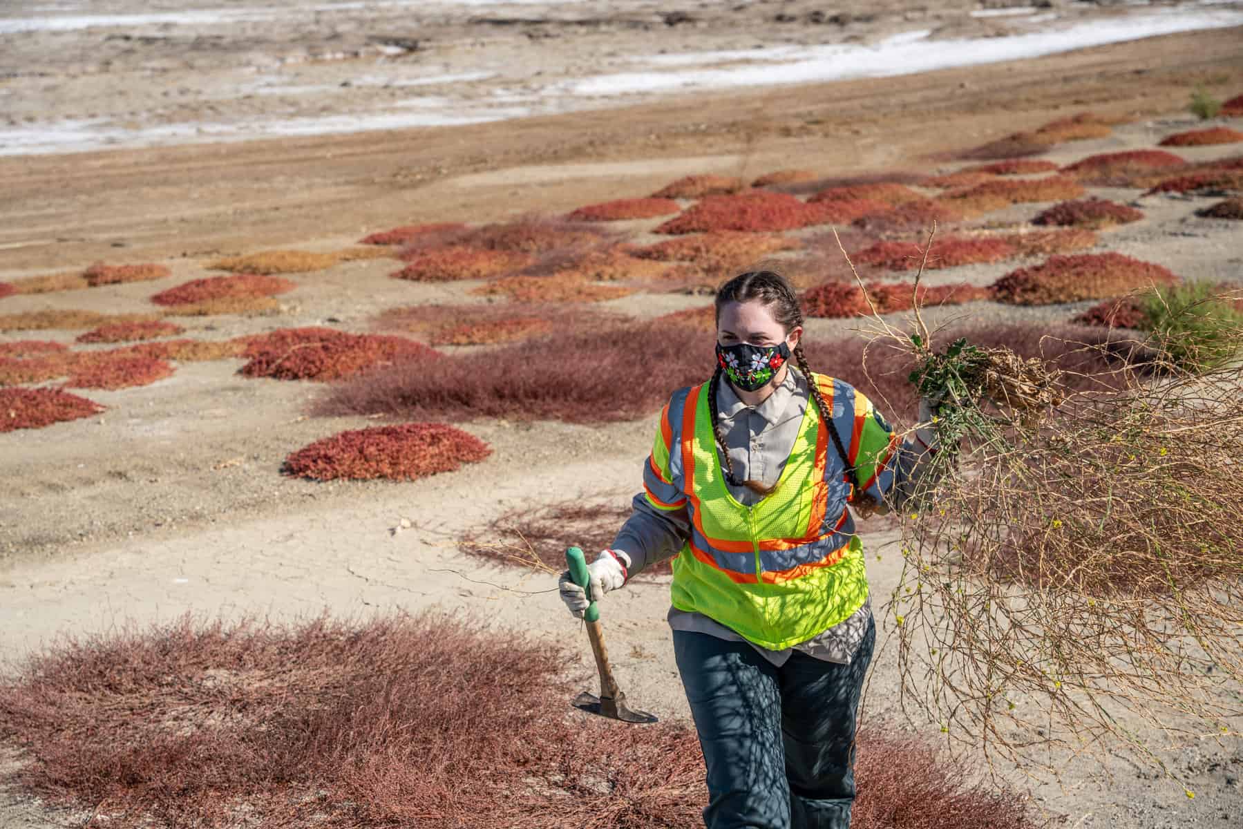Introducing: All-American Canal Wetland Restoration Project - Save The Bay