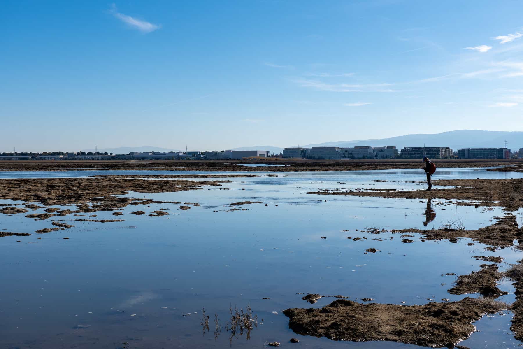 Reviving the Bay: The Transformation of a Former Salt Pond - Save The Bay