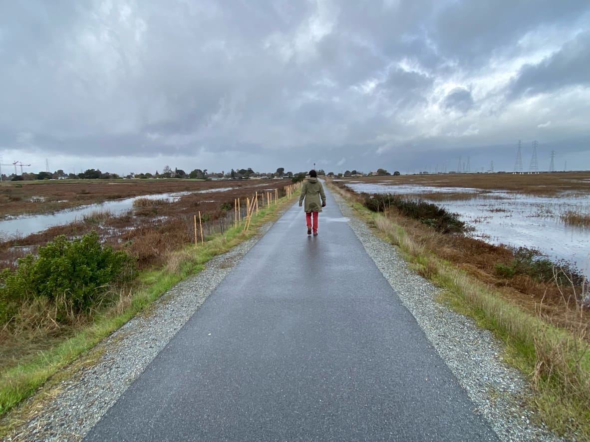 Funding the Future of San Francisco Bay's Shoreline - Save The Bay