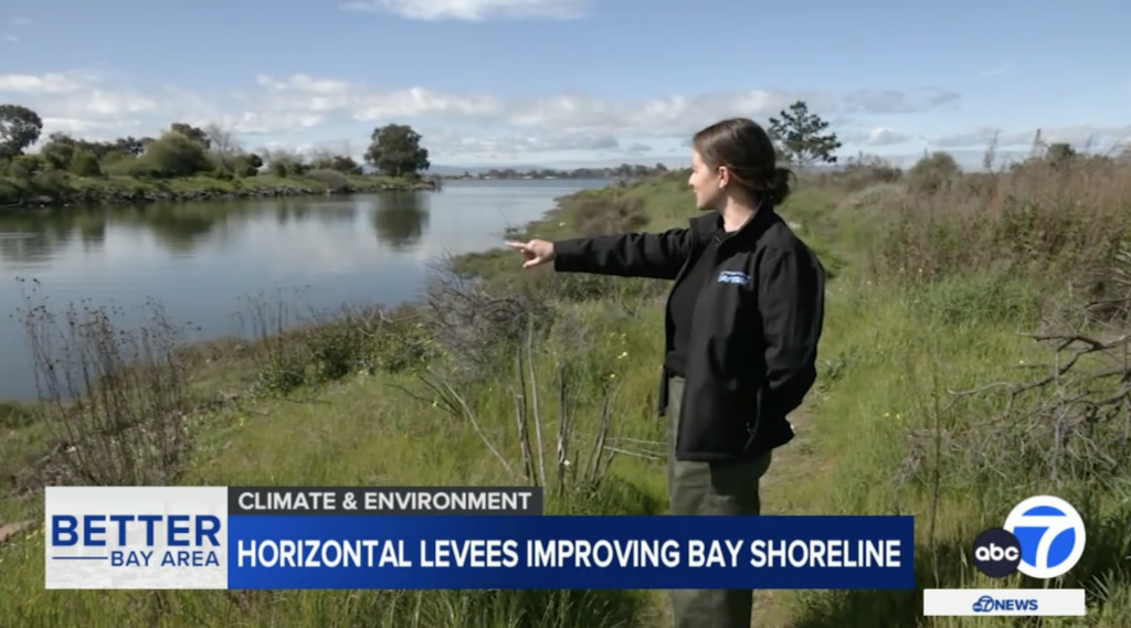 Here's how horizontal levees protect shoreline projects in San ...