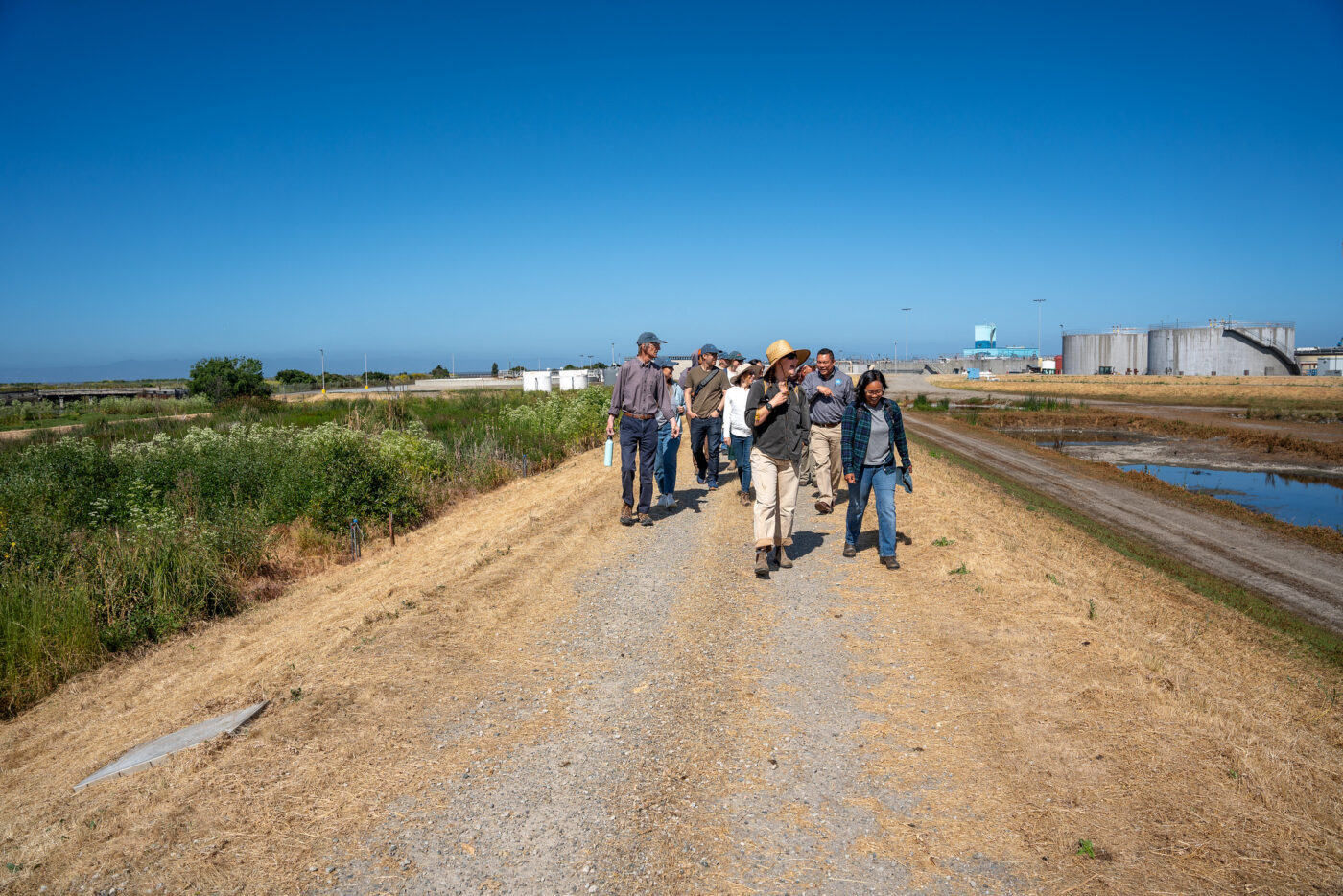 Oro Loma Horizontal Levee: Filtration, Flood Protection, and Habitat ...