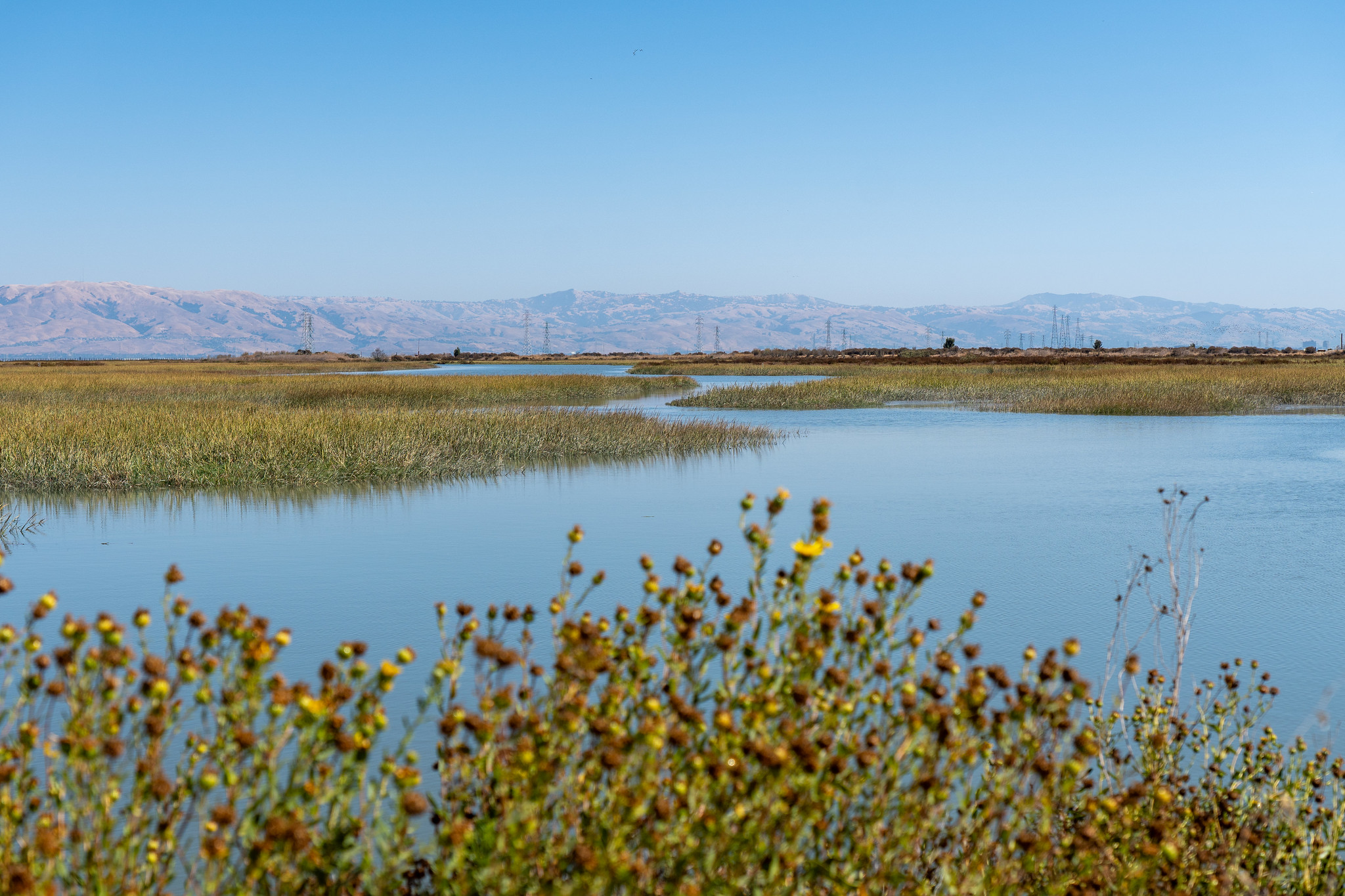 Bay Saver Spotlight: Circlepoint - Save The Bay