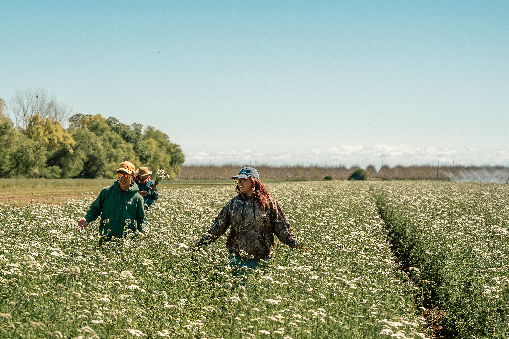 Field Trip: Exploring Native Seed Production and Vernal Pools - Save ...