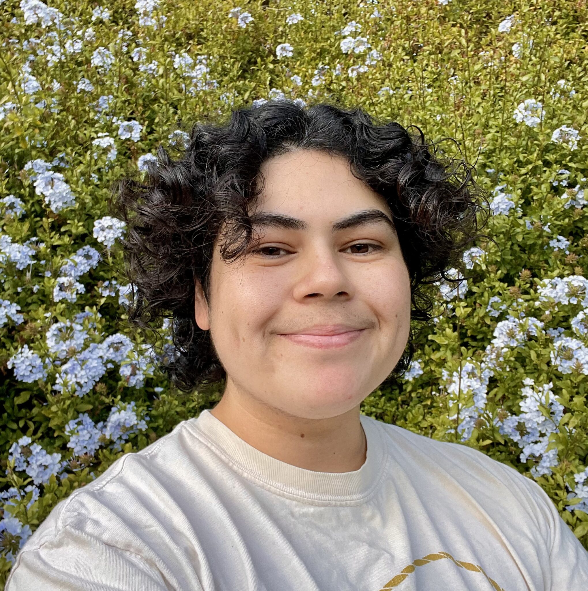 Explore the Bay Trail - Save The Bay